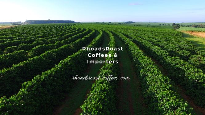 Unroasted Coffee Beans – RhoadsRoast Coffees & Importers