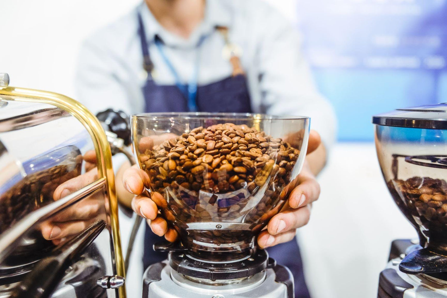 10 lbs. Colombian Sierra Nevada Magdalena Finca Agroberlin Organic Fre ...