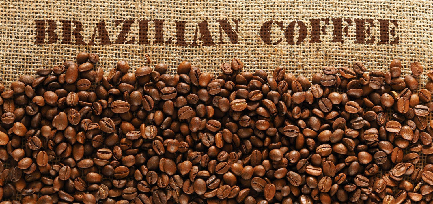 12 lbs. Brazil Cerrado Arabica - Natural 17/18 Screen Fresh Unroasted ...