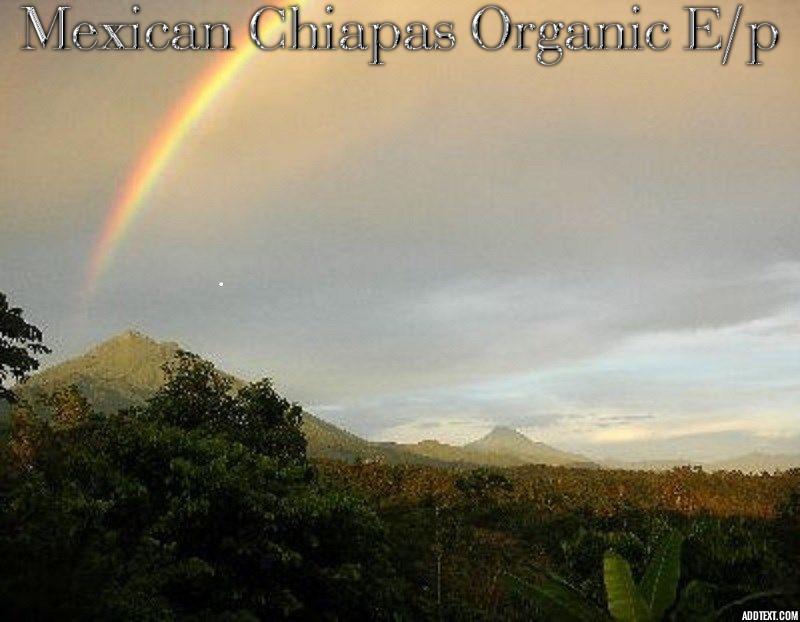 2 lbs. Mexican Chiapas MOCABE SHG E/P Organic Fresh Light Roast 100% A ...