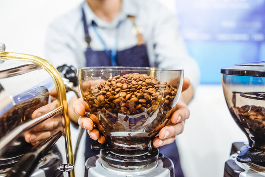 5 lbs. Costa Rica SHB Tarrazu La Pastora E/p Fresh Light Roast 100% Ar ...