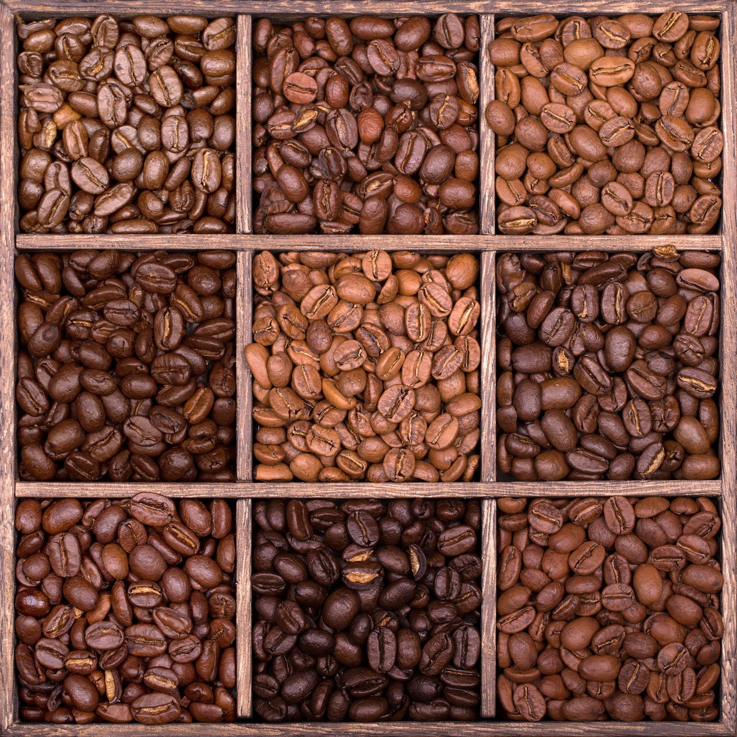 5 lbs. Fresh Selections Light/Medium 100% Arabica Coffees: Whole Beans ...