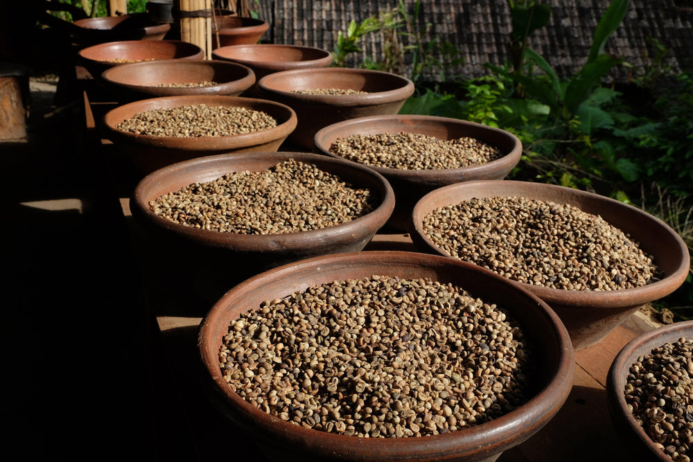 5 lbs. Sumatra Permata Gayo Mandheling Organic FT GR1 DP Fresh Unroast ...