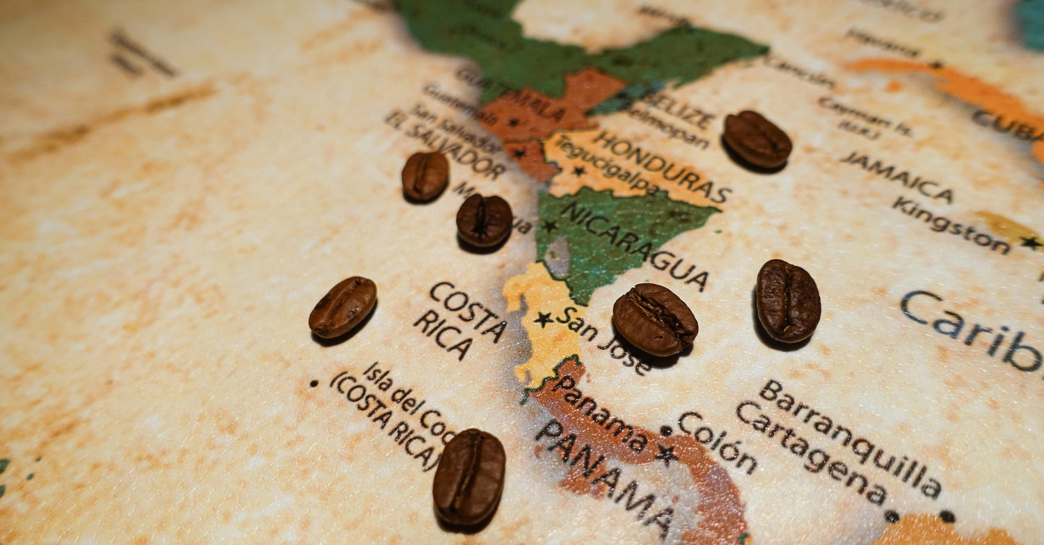 5 lbs. Nicaragua Organic SHG Ep Fancy Finca La Rubia Fresh Dark Roast ...