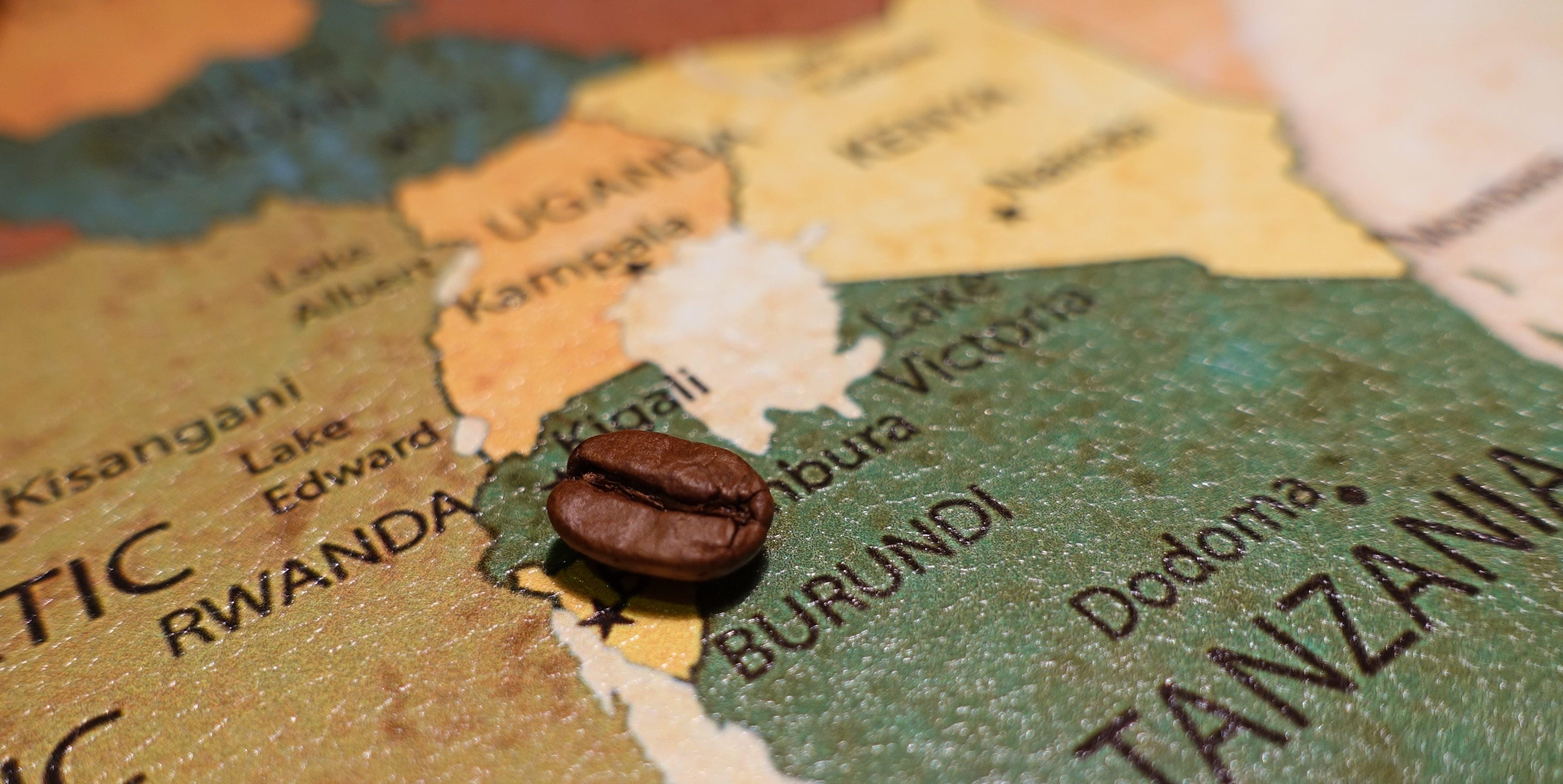 Burundi Kinyovu Fresh Dark Roast 100% Arabica Coffee Beans, 1 lb.- 5 l ...