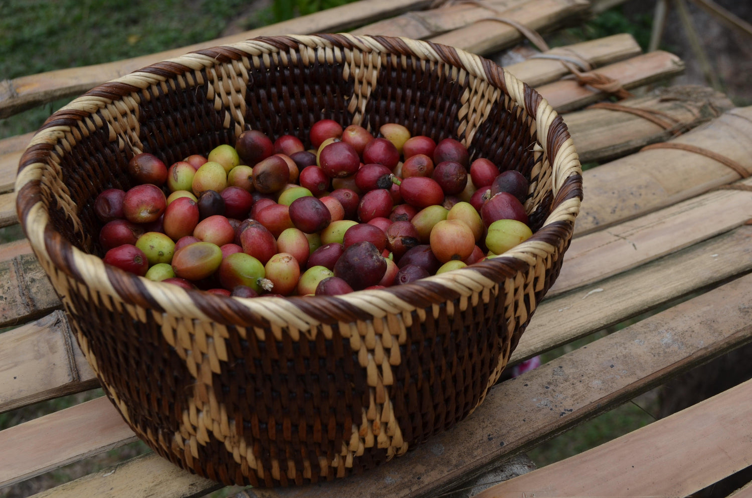 Indo-Pacific Java Estate Kayumas Fresh 100% Arabica Coffee Beans ...