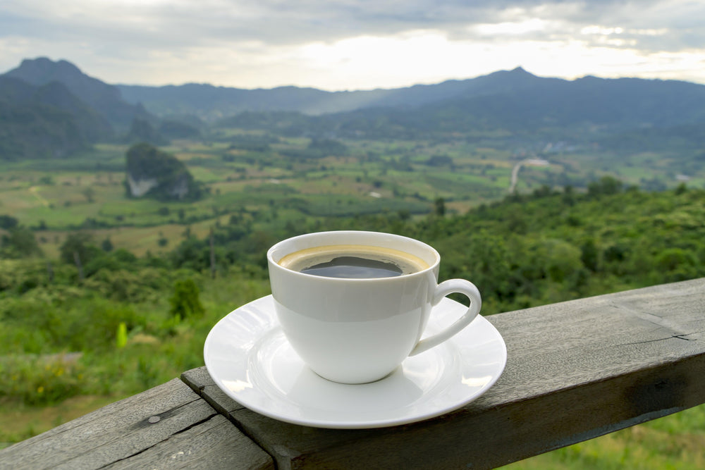 Organic Sumatra Permata Gayo Mandheling GR1 DP Fresh 100% Arabica Coff ...