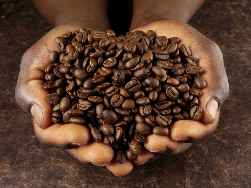 African Coffees – RhoadsRoast Coffees & Importers®